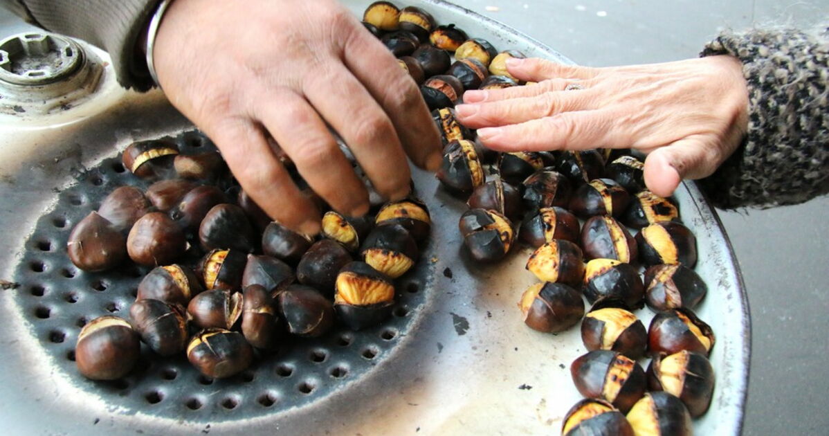 Chauds les marrons..., Le froid de l'hiver,vente1 - Geo.fr