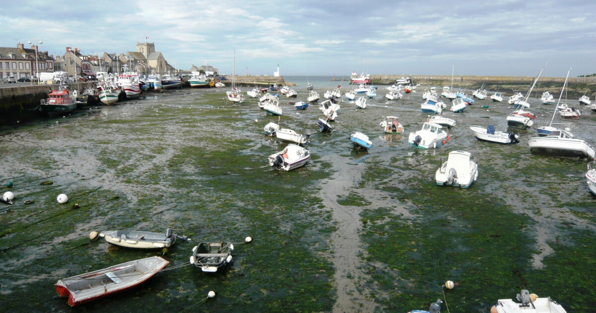 Marée basse, Barfleur - Geo.fr
