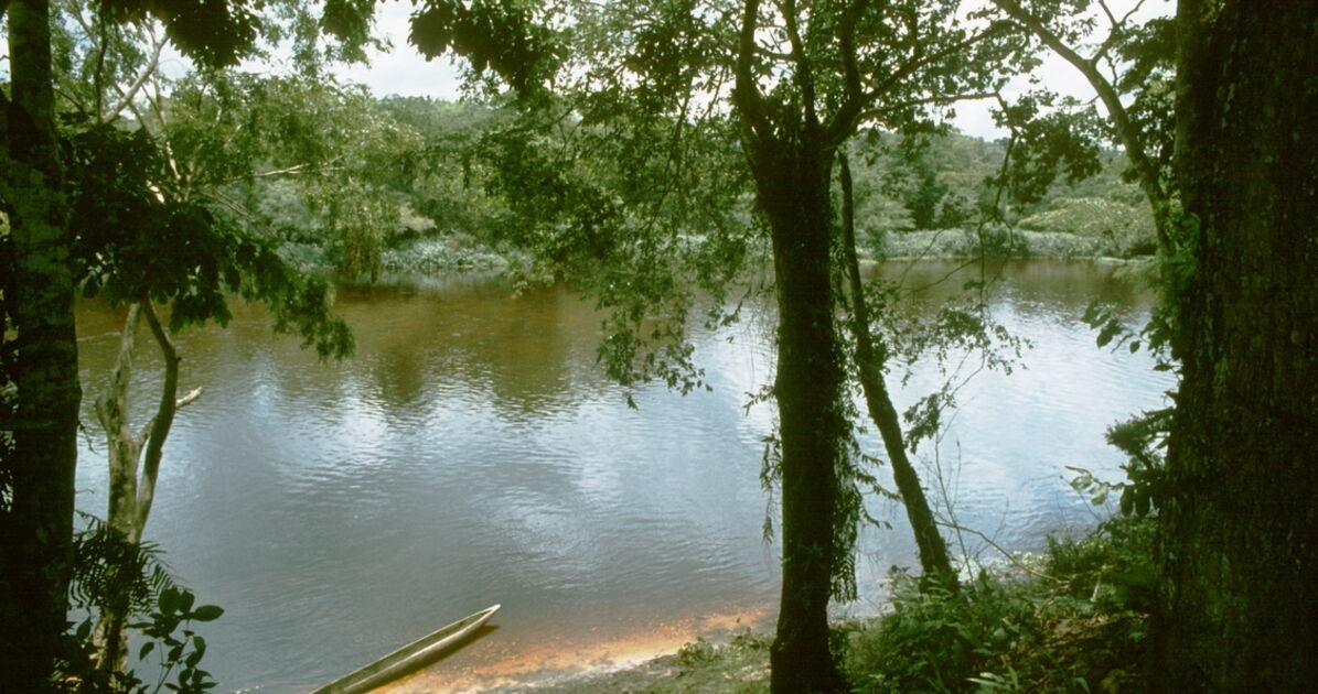 Congo 70 Likouala La Motaba 1, Avec plus de de 66 000... - Geo.fr