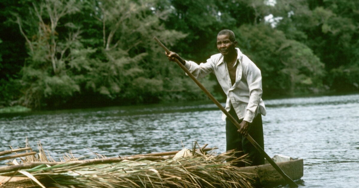 Congo 70 Likouala Sur la Motaba 2, Avec plus de de... - Geo.fr