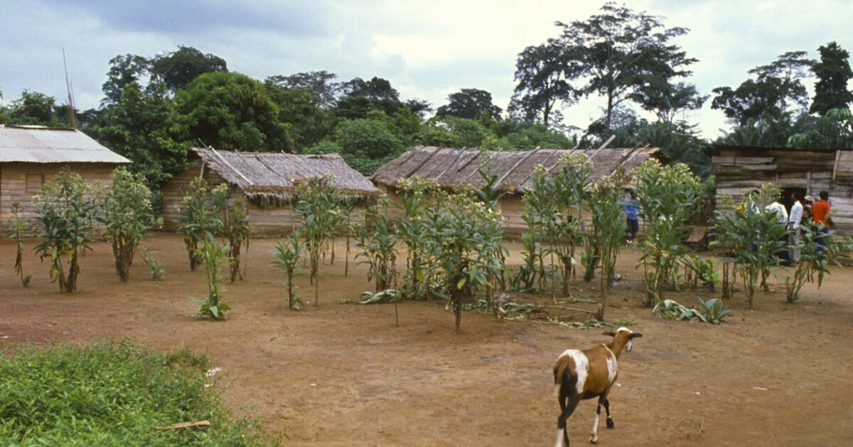 Congo 70 Village entre Zanaga et Sibiti 6, Après le... - Geo.fr