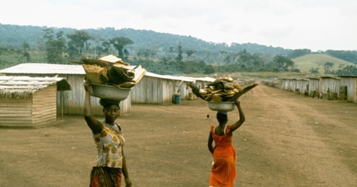 Congo 70 Entre Makabana et Titi Camp Foralac 1, Les... - Geo.fr