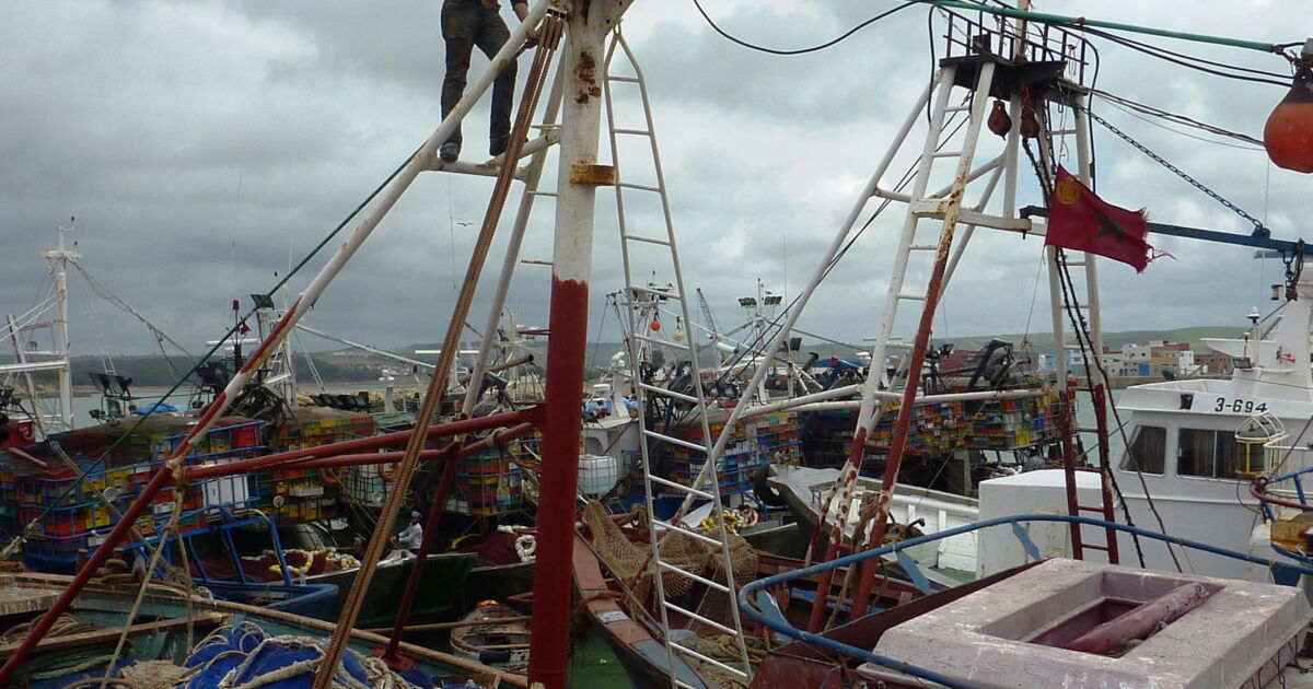 Port de pêche de Larache, - Geo.fr