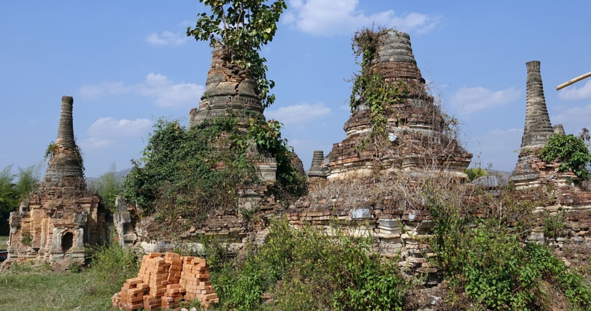 Myanmar Sagar Figuier étrangleur à Samkar 2, À 15 min... - Geo.fr