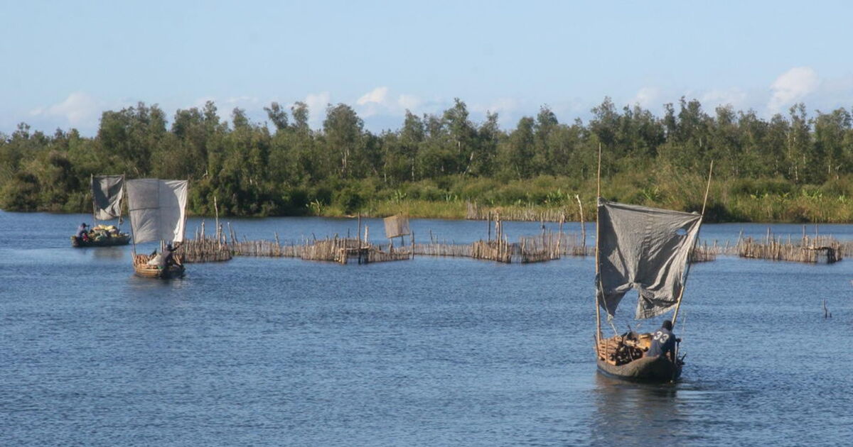 Tamatave, Madagascar, Scènes du quotidien, près de... - Geo.fr