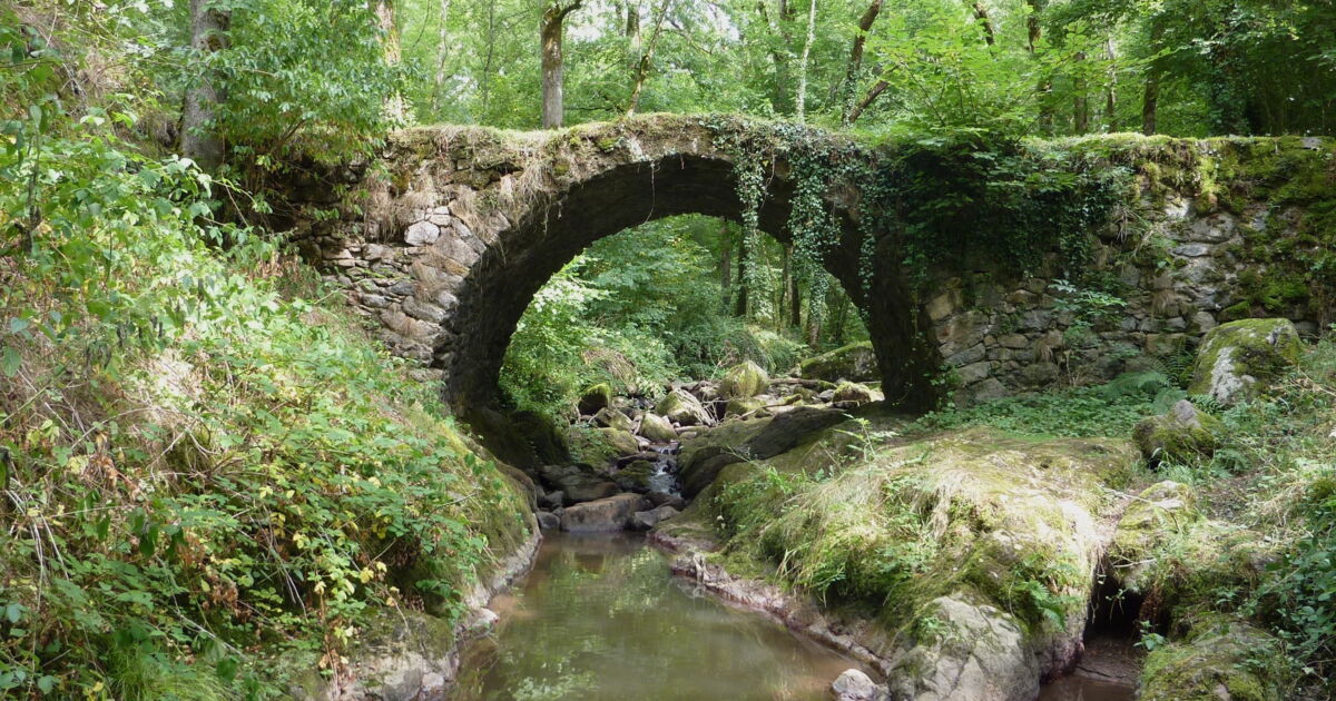 site médiéval de Peyrusse Le Roc - Aveyron, Dans1 - Geo.fr