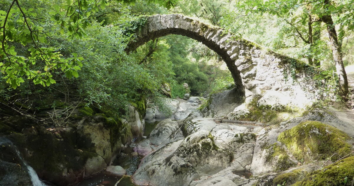 site médiéval de Peyrusse Le Roc - Aveyron, Dans1 - Geo.fr