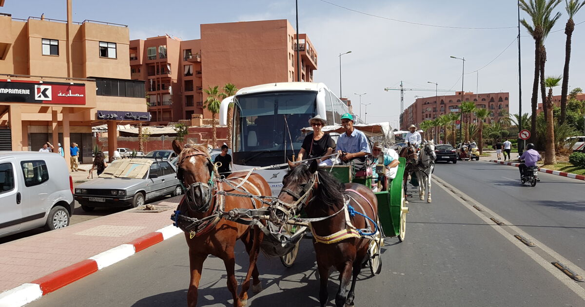 Marrakech !!! , la calèche - Geo.fr