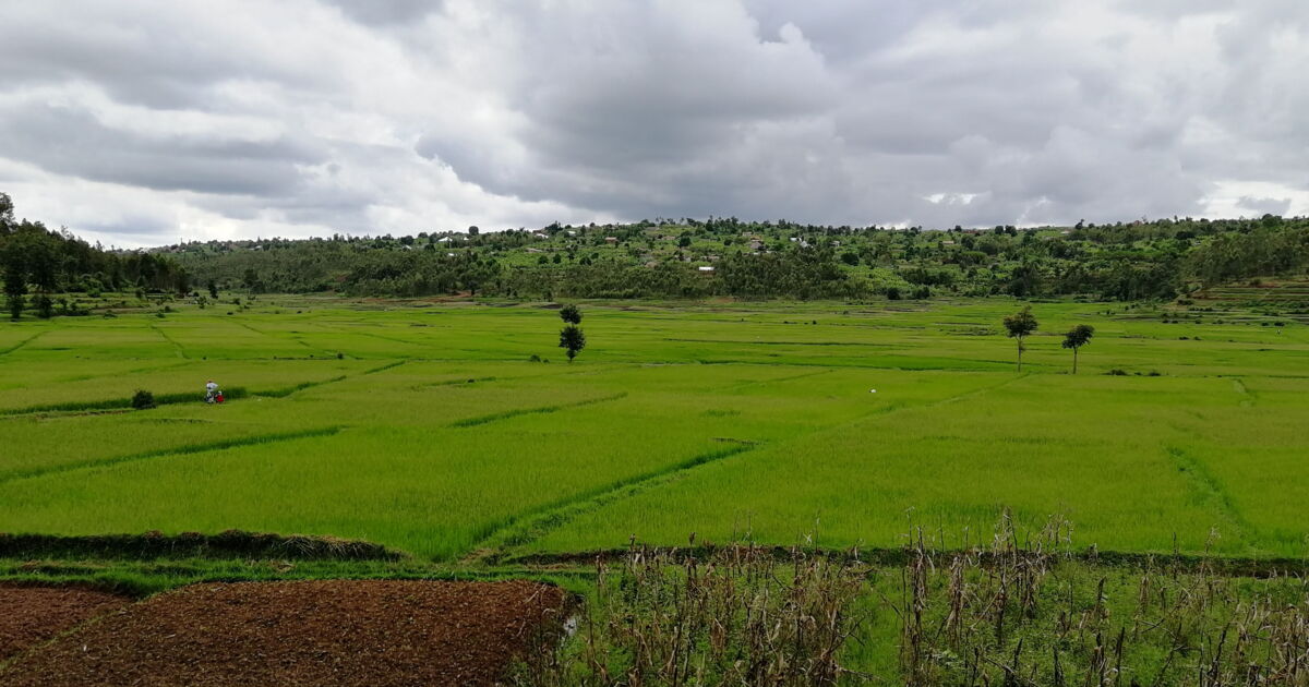 Les milles collines, - Geo.fr