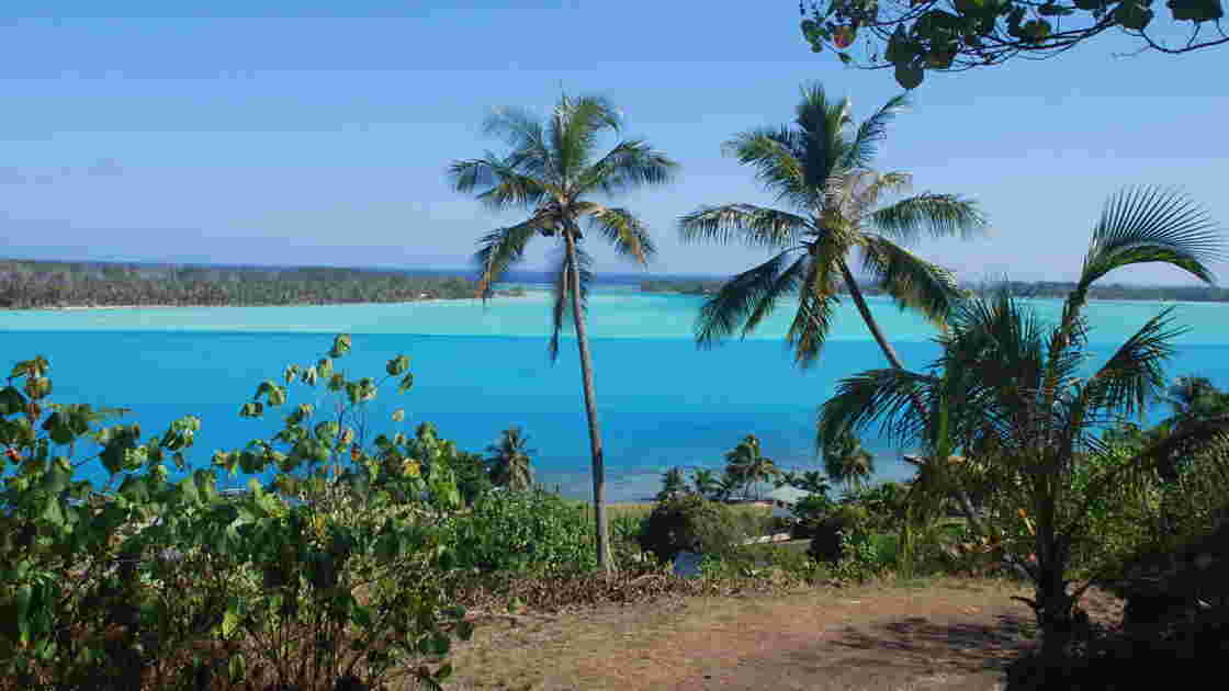 Le lagon, Ambiance de début de journée à l'ombre des... - Geo.fr