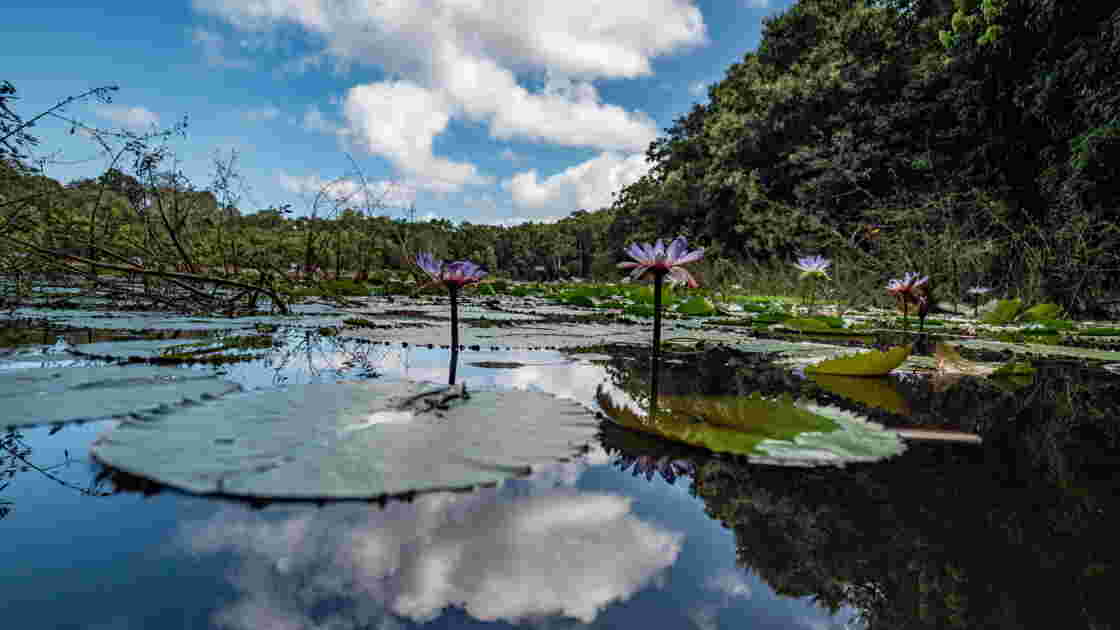 Lac Dziani Karihani, - Geo.fr