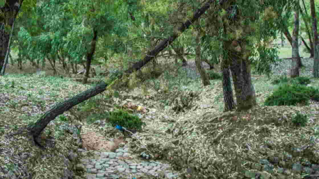 Aïn Drahem, les forêts de Aïn Drahem - Geo.fr