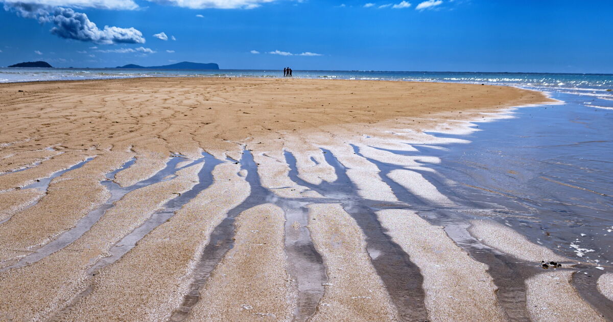 Lagon Mayotte, Vie sauvage du lagon de Mayotte - Geo.fr