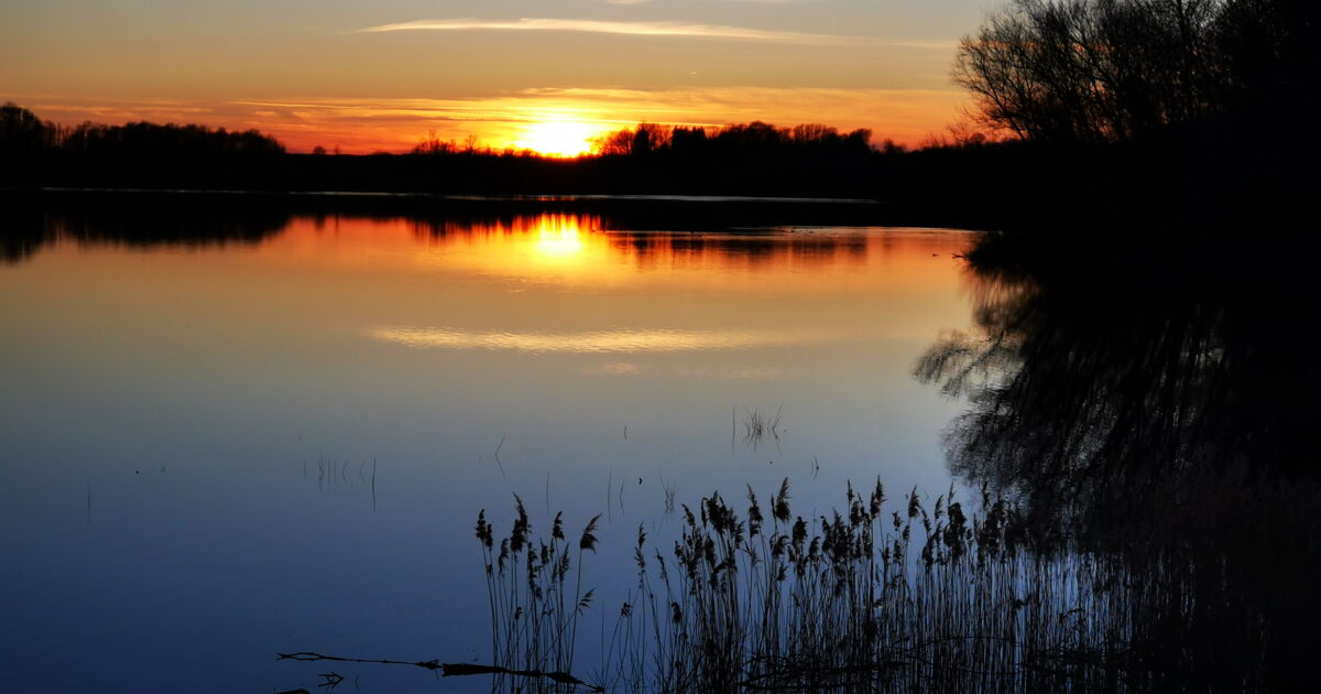 Lac de Michelbach Alsace, - Geo.fr