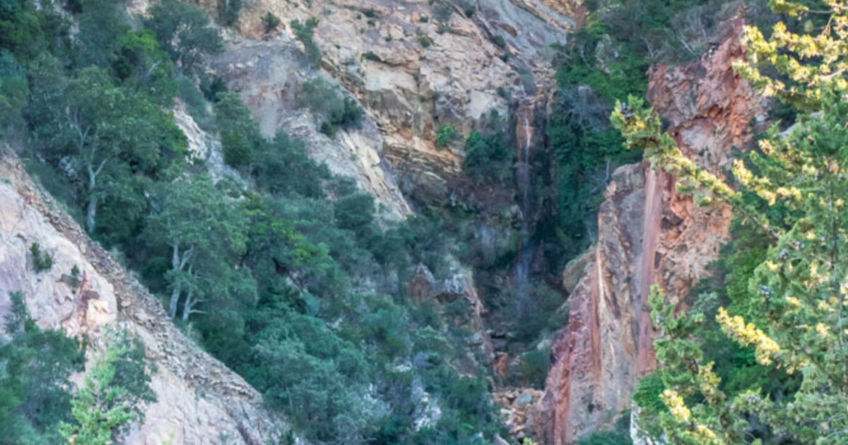 Aïn Drahem, les forêts de Aïn Drahem - Geo.fr