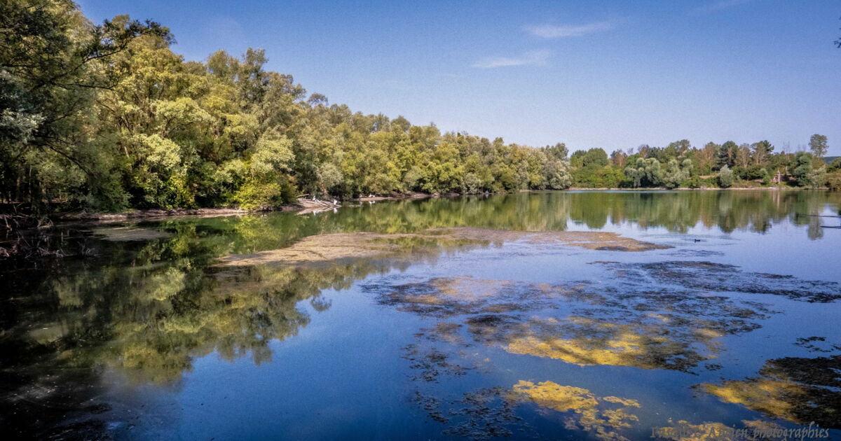 Biotropica, les jardins animaliers, Les jardins a1 - Geo.fr