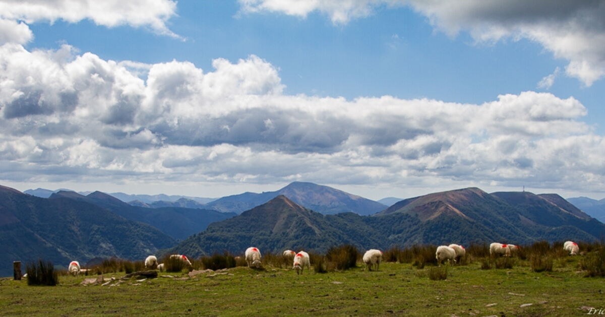 Les Montagnes Basques.....vues depuis Artzamendi, - Geo.fr