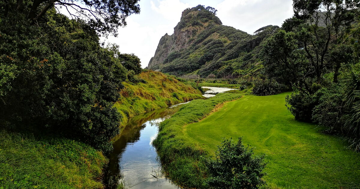 Parc de Waitakere, - Geo.fr