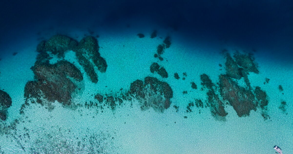 Mayotte Coré Mer, Récif nord du lagon de Mayotte1 - Geo.fr