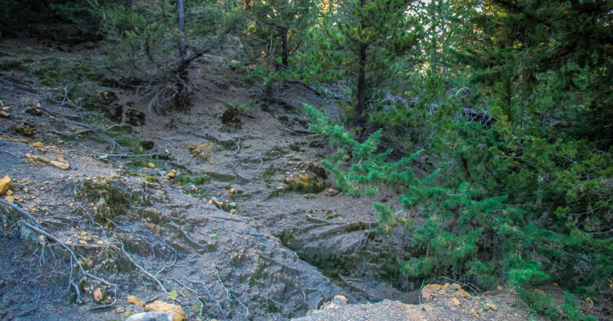 Aïn Drahem, les forêts de Aïn Drahem - Geo.fr
