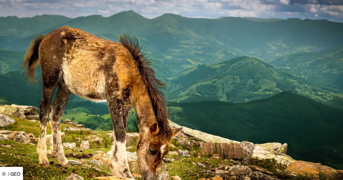 Pays basque : nos 10 coups de cœur en Euskadi - Geo.fr