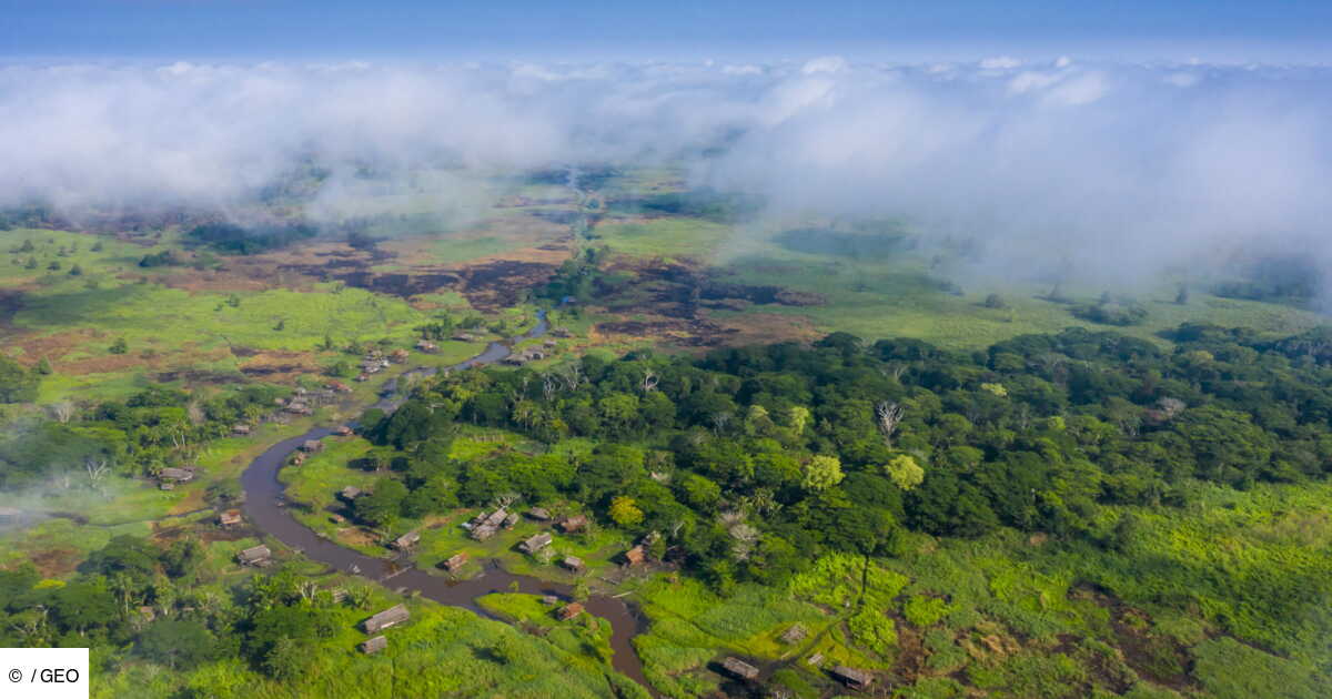 7 choses à savoir sur la Papouasie-Nouvelle-Guinée, constellation d ...