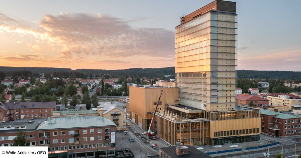 La Suède inaugure la plus haute tour en bois au monde - Geo.fr