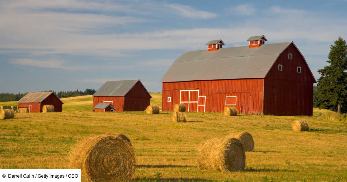 Télétravail à la ferme : en Italie, ces nomades numériques sont ...