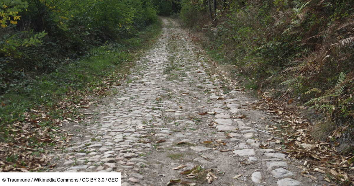 Une route romaine découverte au pays de Galles - Geo.fr