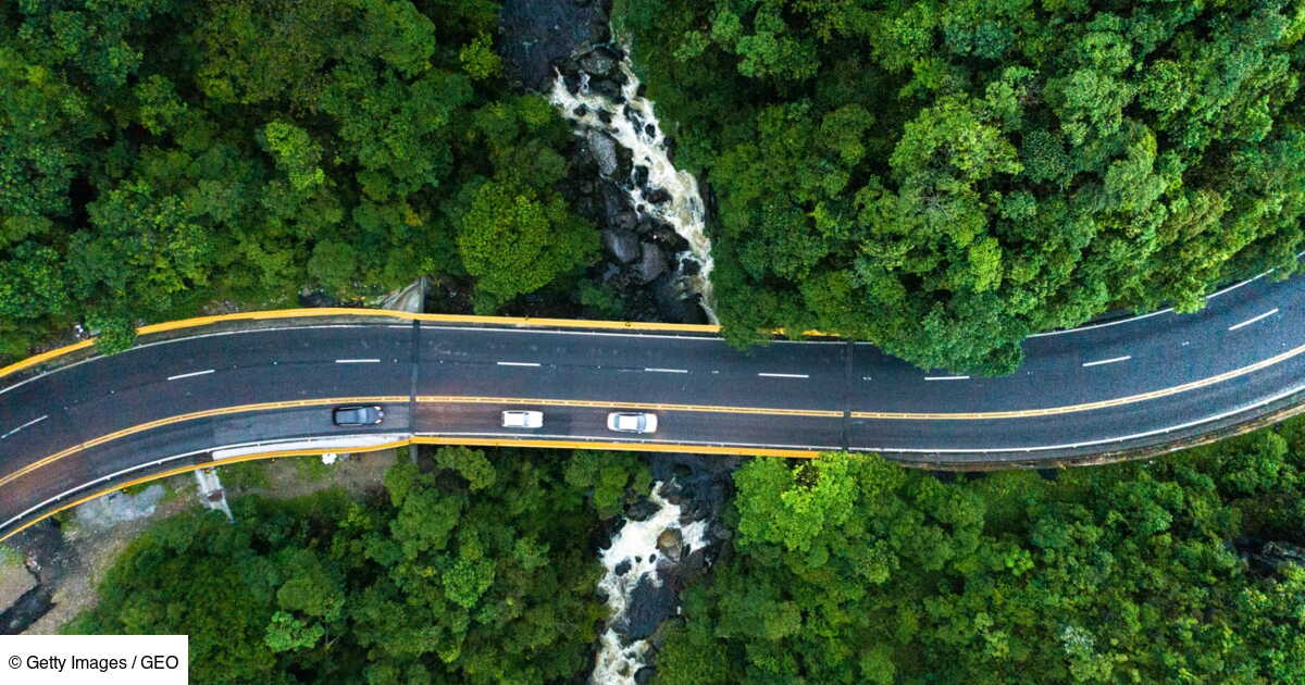 Corridor écologique : quelles différences avec une continuité ...