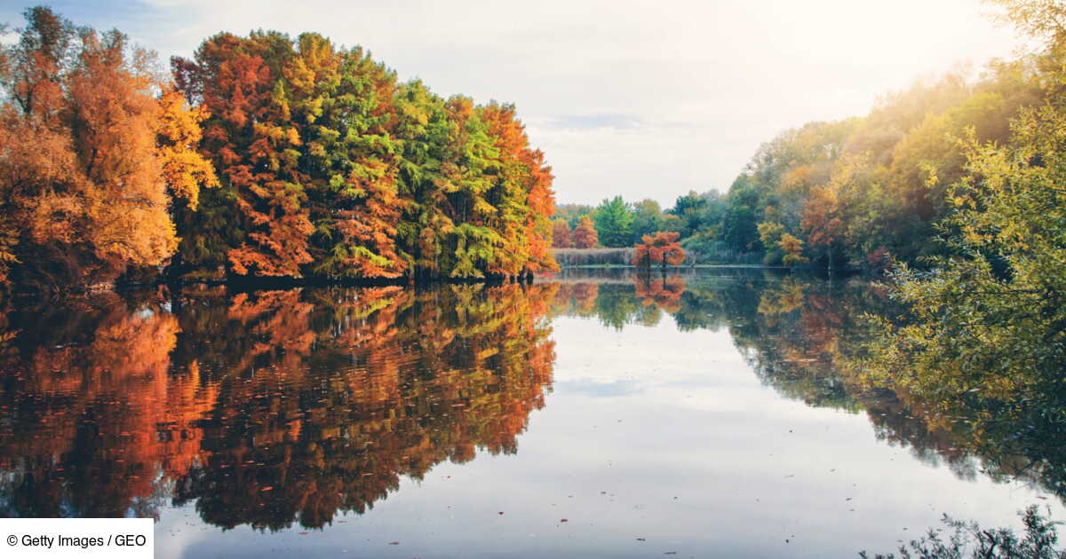 Cette carte indique où observer les plus belles couleurs de l'automne ...