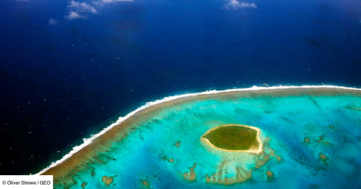 Qu’est-ce que la fosse océanique ? - Geo.fr