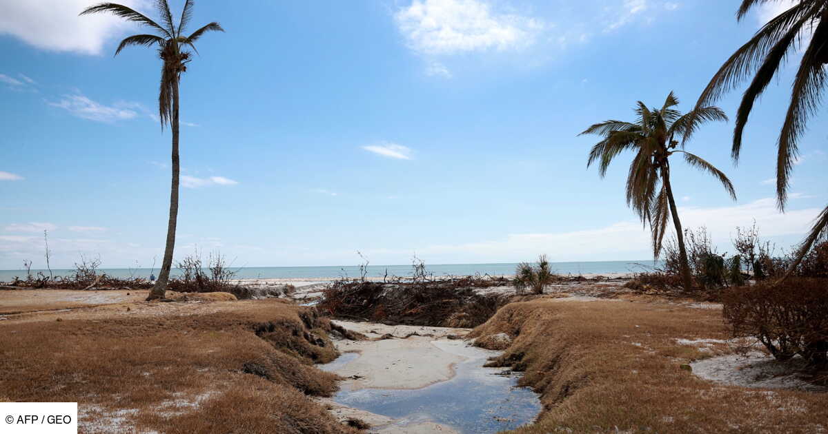 Quelle est cette bactérie "mangeuse de chair" qui sévit en Floride ...