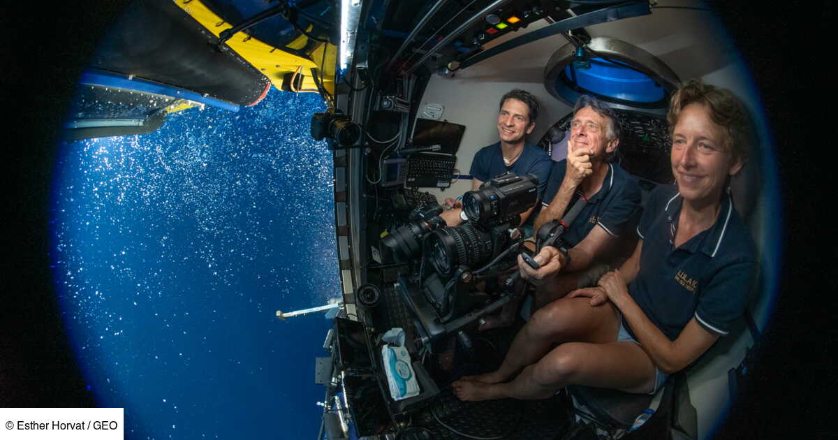 « J’ai plongé à 1000 mètres sous les mers » - Geo.fr