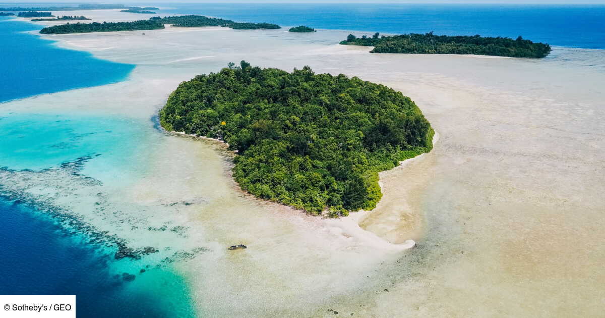 Un archipel indonésien comprenant une centaine d'îles mis aux enchères ...
