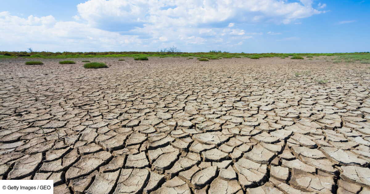 La désertification : qu'est-ce que c'est ? - Geo.fr