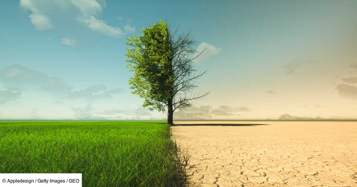 Réchauffement climatique : la Terre va perdre entre 6% et 10% de ses ...
