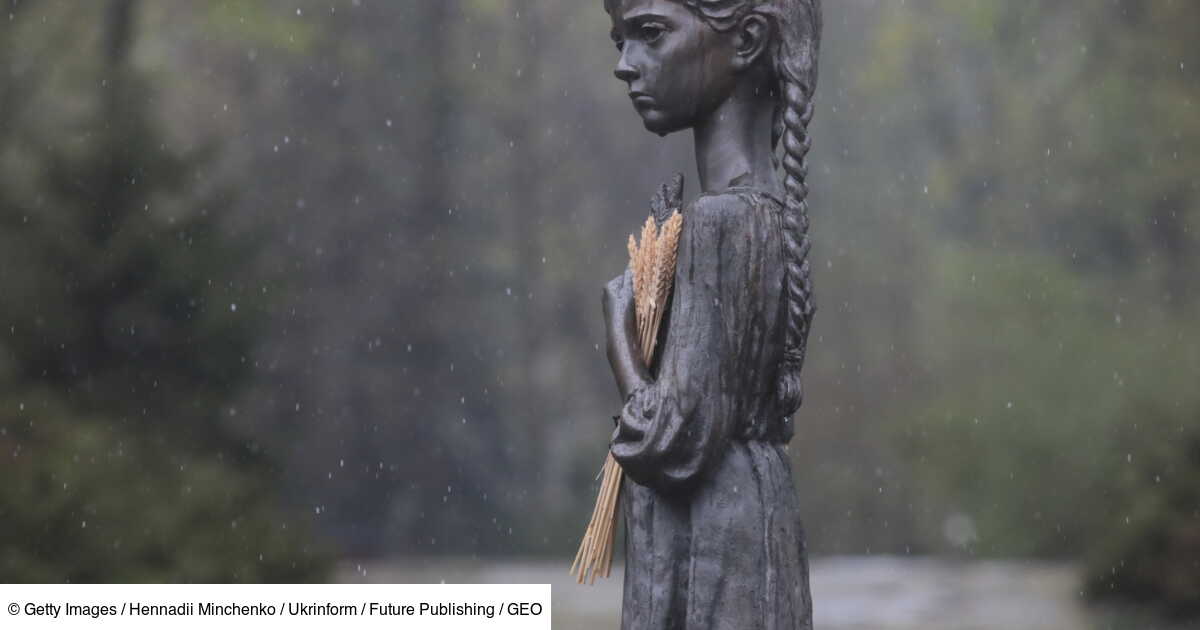 Guillaume Ribot : "En Ukraine en 1933, 4,5 millions de personnes ...