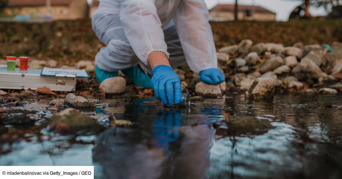 Polluants éternels : une enquête internationale dévoile la carte des ...