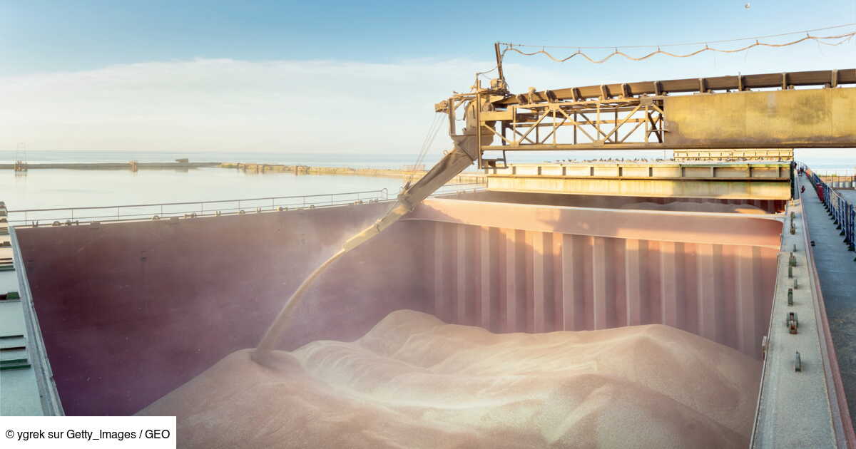 Qu'est-ce que la phosphine, cet insecticide au coeur d'une polémique ...