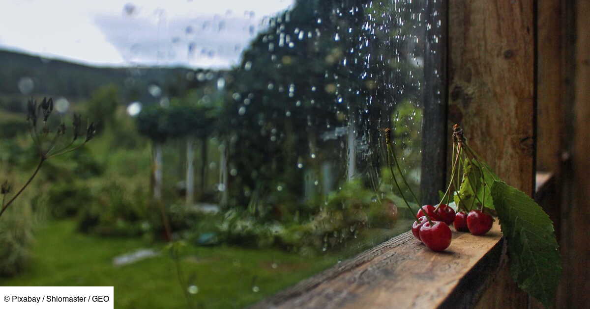 Les nappes phréatiques de ces 8 régions françaises sont de nouveau ...
