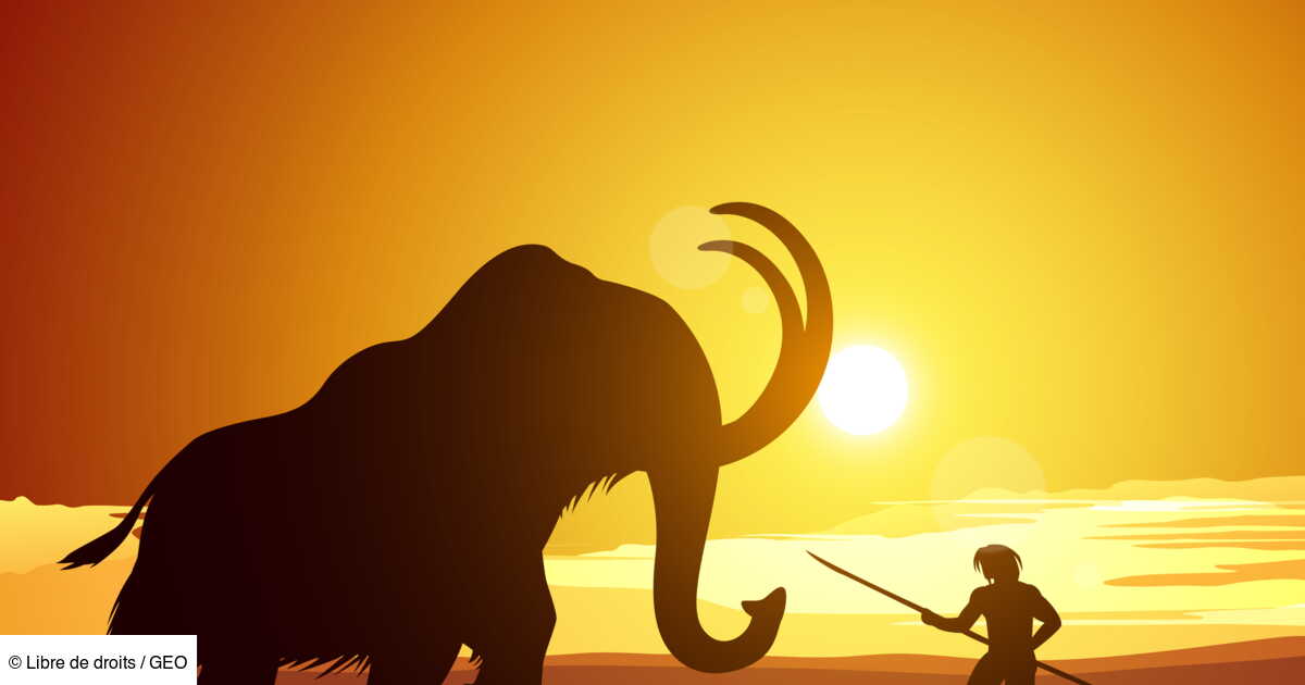 Les premiers humains de l'est de l'Amérique du Nord chassaient des ...