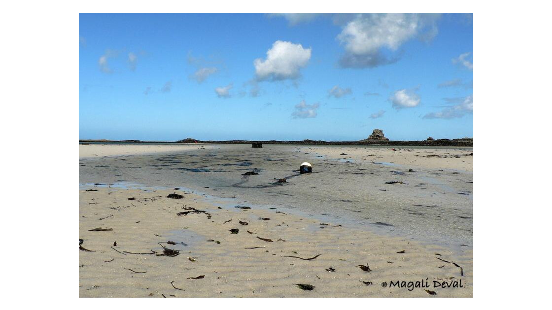 Marée basse, Ile Vierge, Lilia, Bretagne, France - Geo.fr