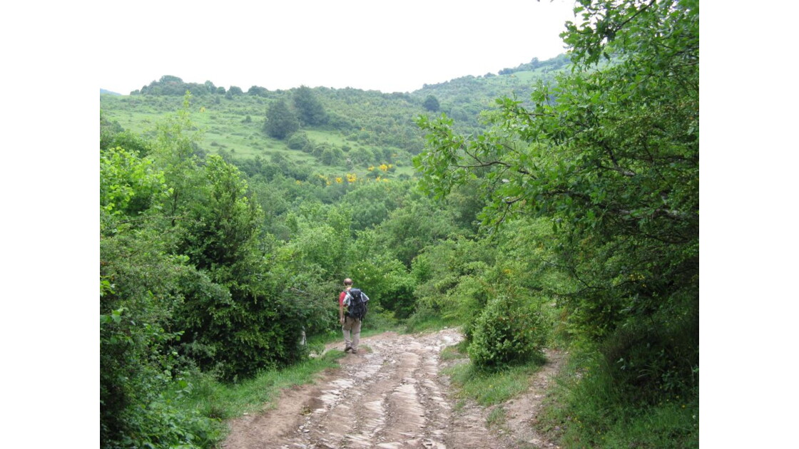 chemin rocailleux à travers la Navarre, - Geo.fr