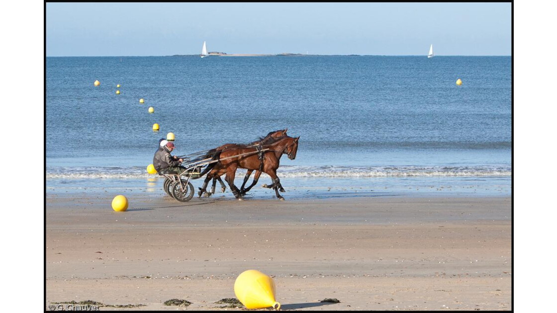 Chevaux à la Plage, Tôt le matin les Chevaux sont entrainés... - Geo.fr