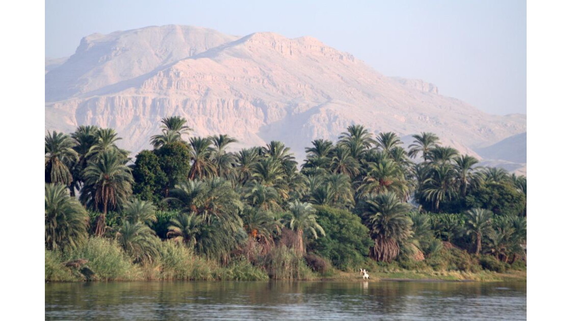 Les bords du Nil.JPG, - Geo.fr