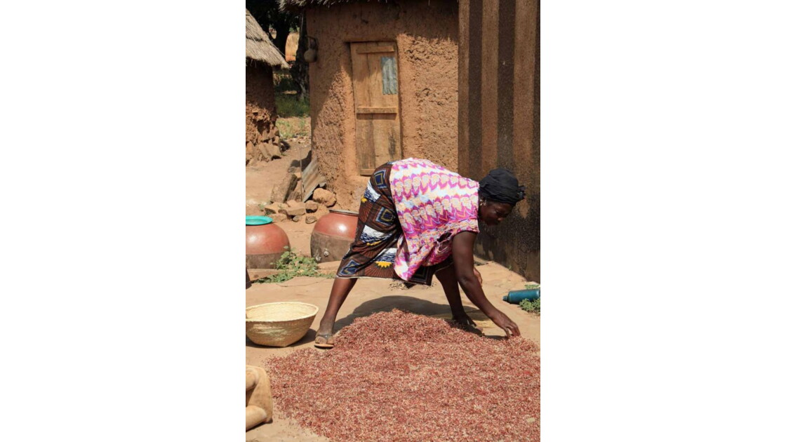 Mil_rouge.jpg, - Geo.fr