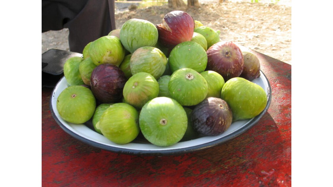 Varietés de Figues de Bouhouda Taounat, des Figues... - Geo.fr