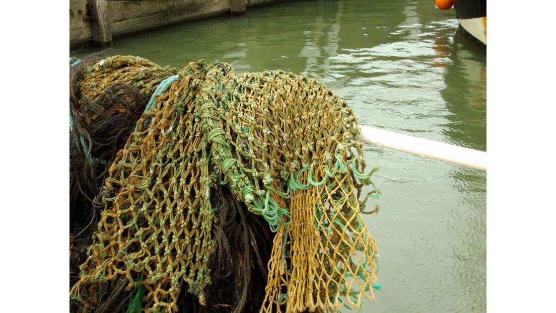 Passer à travers les mailles du filet , - Geo.fr