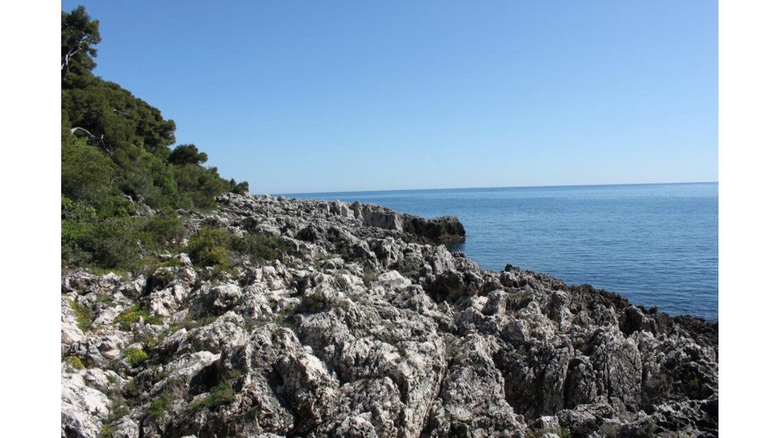 IMG_7512.JPG sentier des douaniers, sentierdes douaniers... - Geo.fr